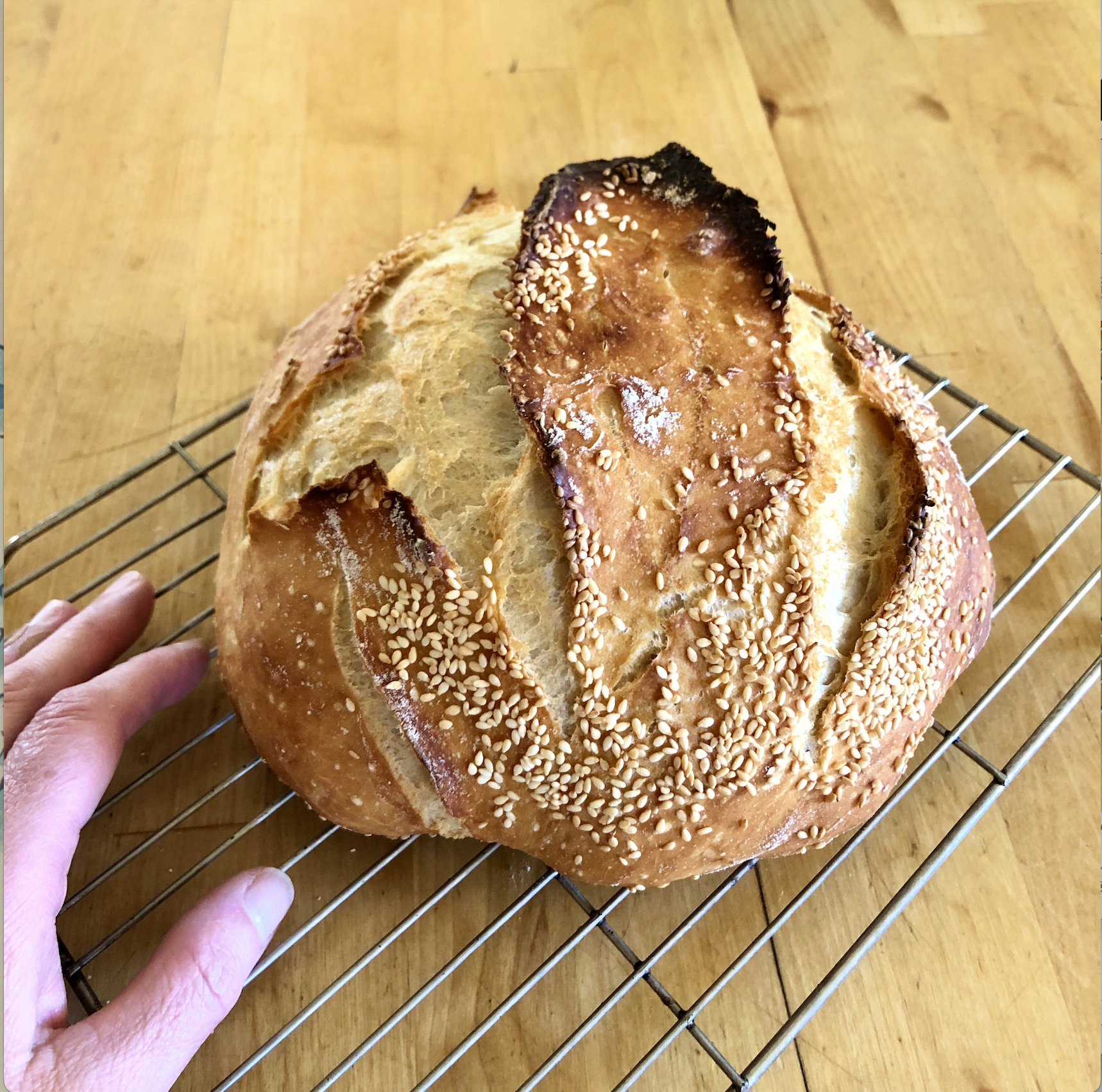 One Frugal Thing -- When Life Hands You Flat Bread Dough